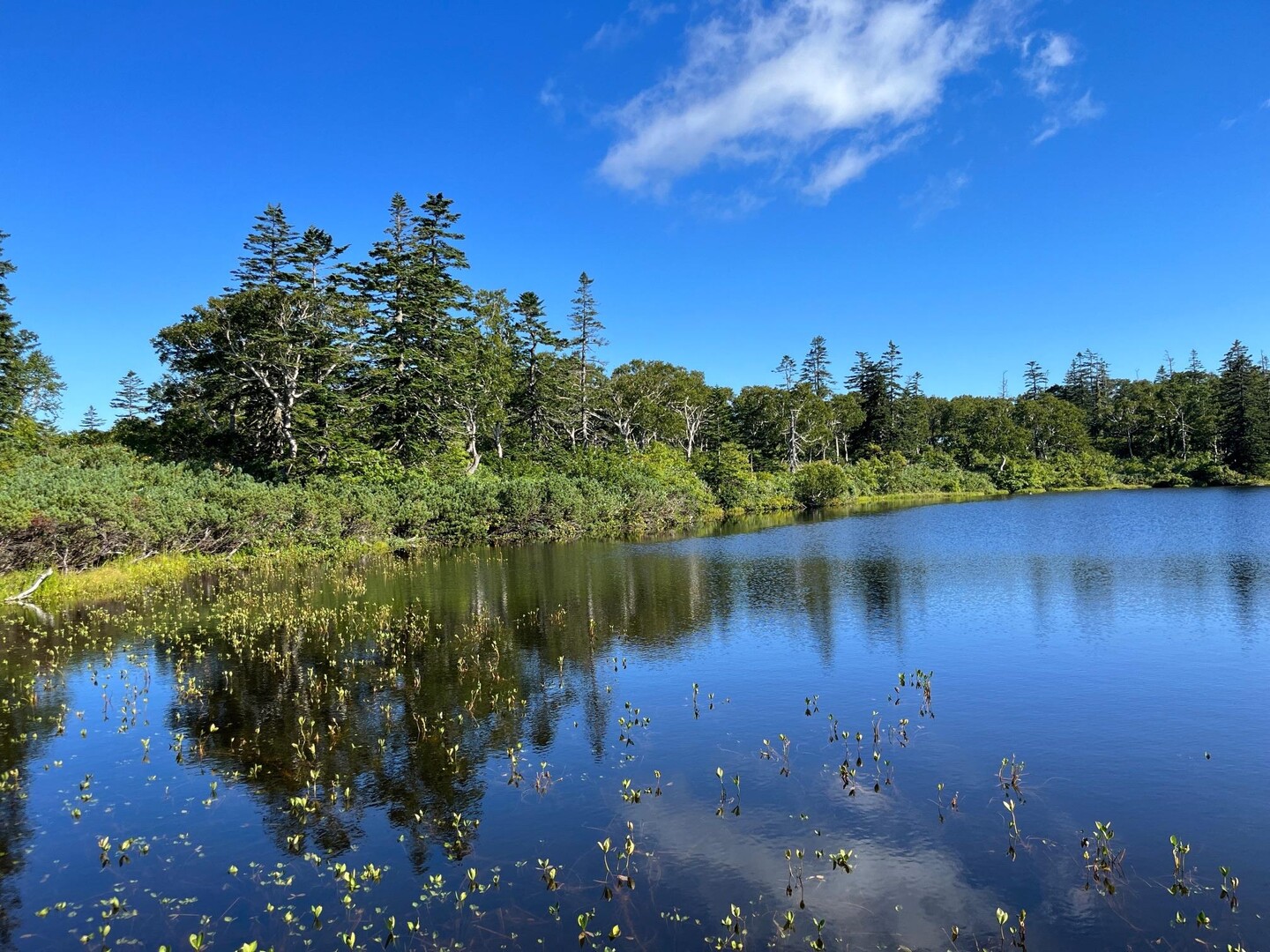 チセヌプリ 湖沼を巡る / Mas. Tさんのニセコアンヌプリ・イワオヌプリ・チセヌプリの活動データ | YAMAP / ヤマップ
