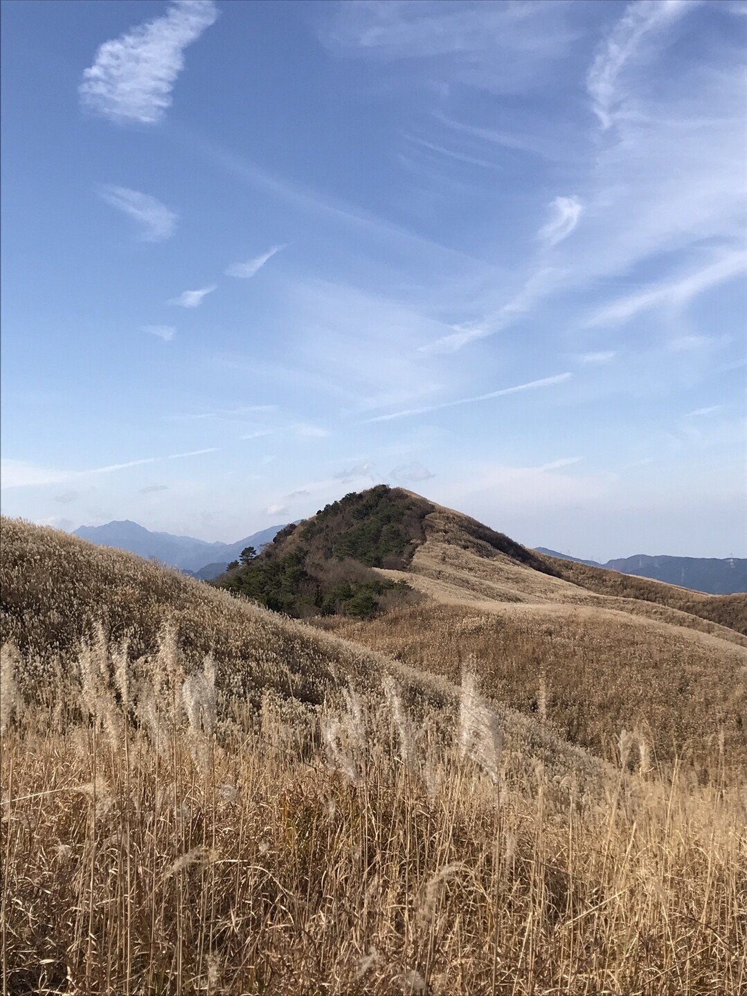 塩塚峰 / ta3netさんの塩塚峰の活動データ | YAMAP / ヤマップ