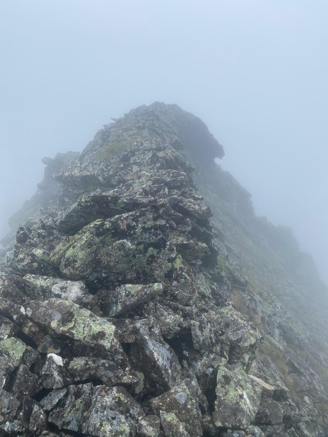 Milkyさんの投稿したフィールドメモ | YAMAP / ヤマップ