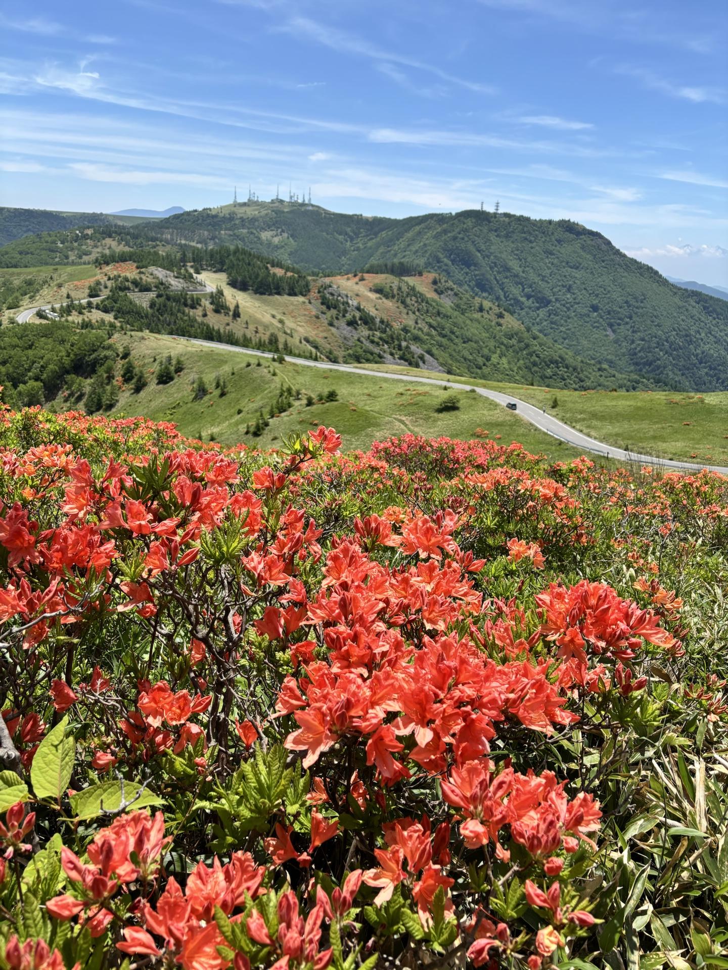 戸谷峰・六人坊・三才山・烏帽子岩・武石峰・美ヶ原（王ヶ頭）〜美ヶ原ロングトレイル / mierinさんの美ヶ原の活動データ | YAMAP ...