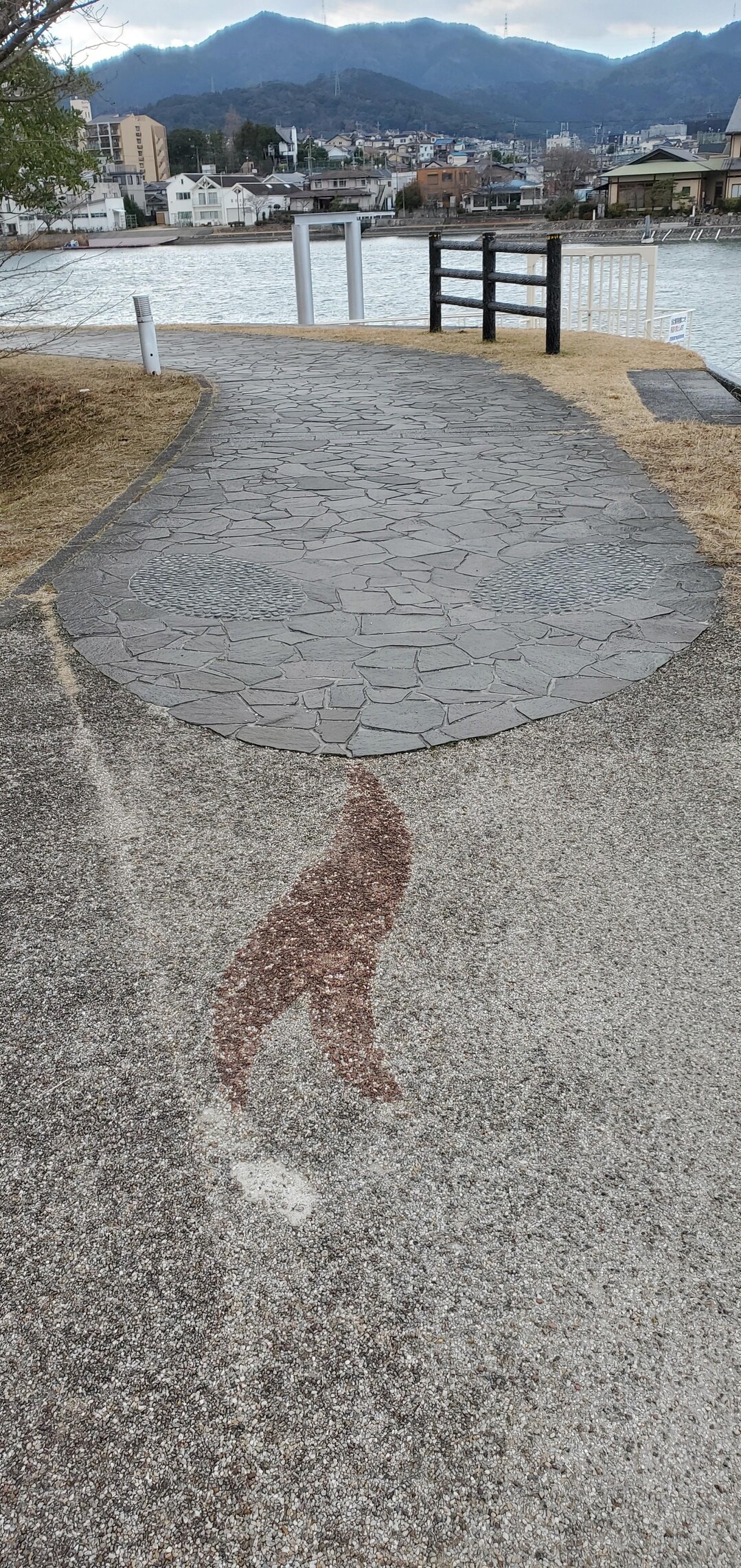 唐橋の蛇🐍 / damens さんのウォーキングの活動データ | YAMAP / ヤマップ