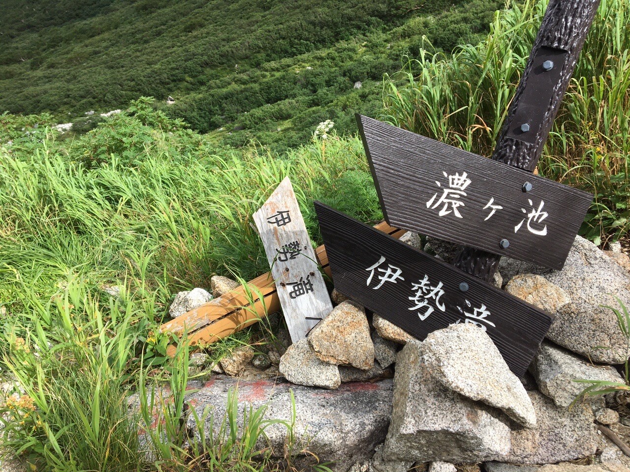 Meg Takaoさんの投稿したフィールドメモ | YAMAP / ヤマップ