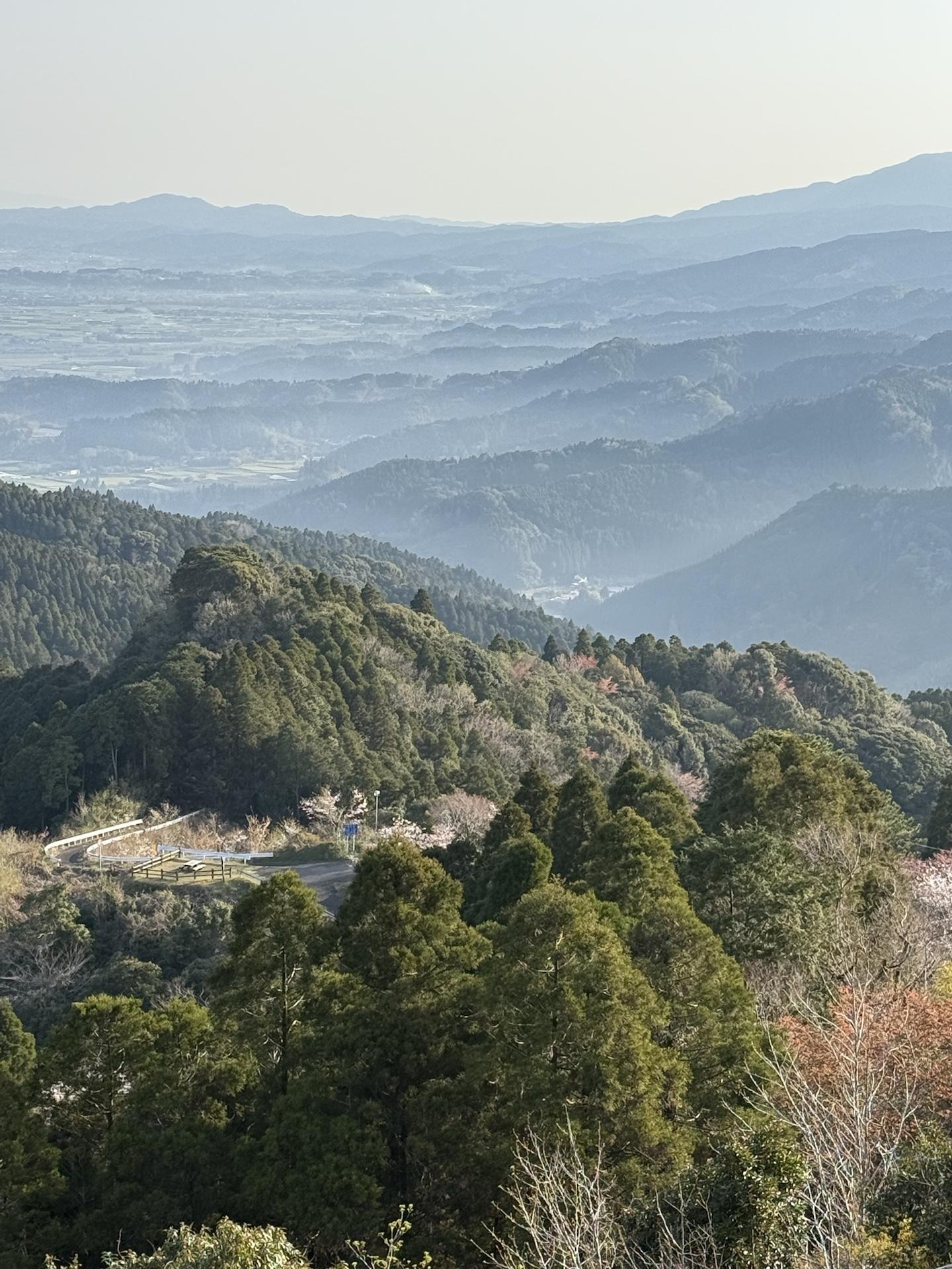 2025年金御岳トレーニング58回目 / cocoさんの金御岳の活動データ | YAMAP / ヤマップ