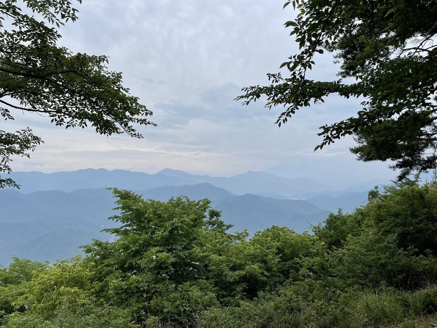 百蔵山-2022-06-18 / げんさんのウォーキングの活動データ | YAMAP / ヤマップ