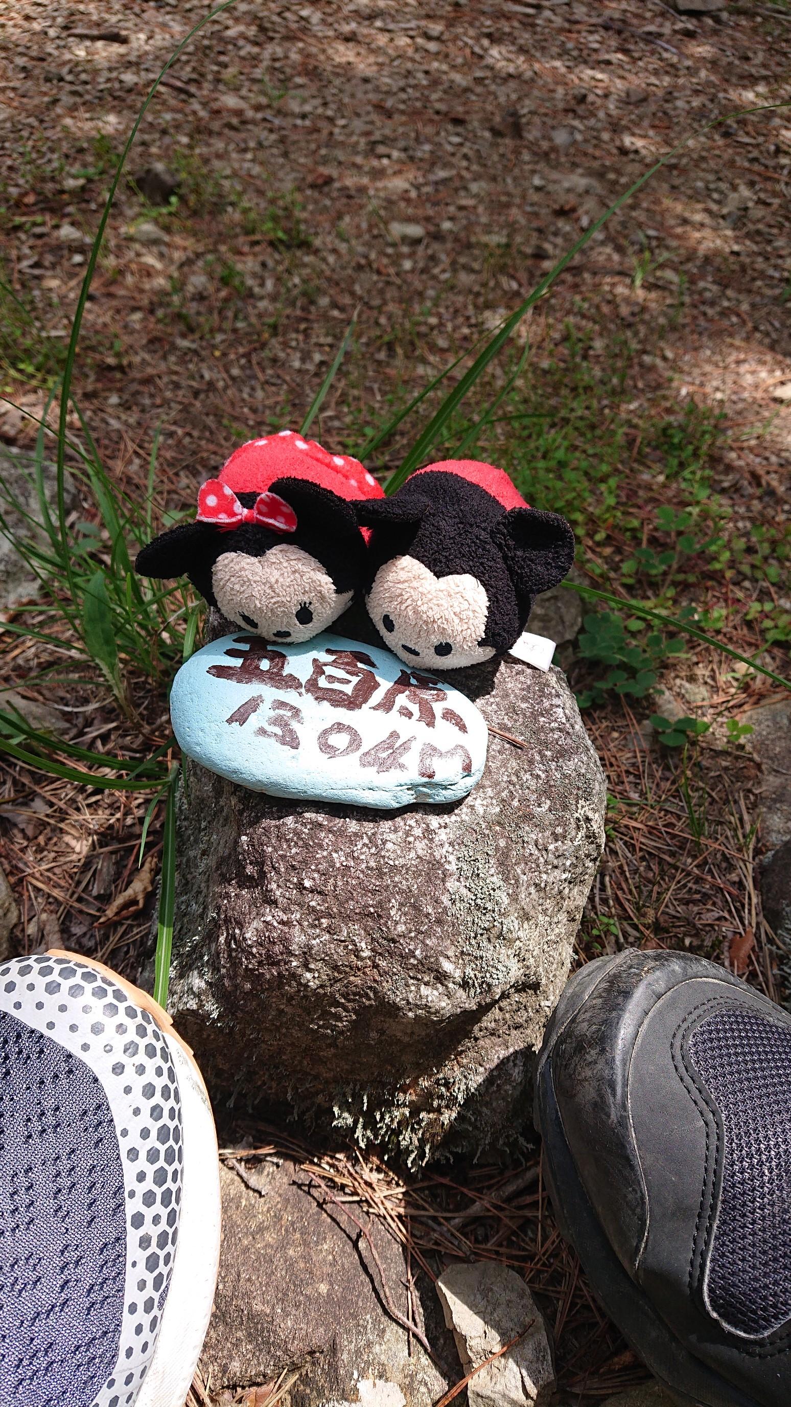 ちょこっとピークハントpart2(五百原) / きょんさんの護摩壇山・龍神岳の活動データ | YAMAP / ヤマップ