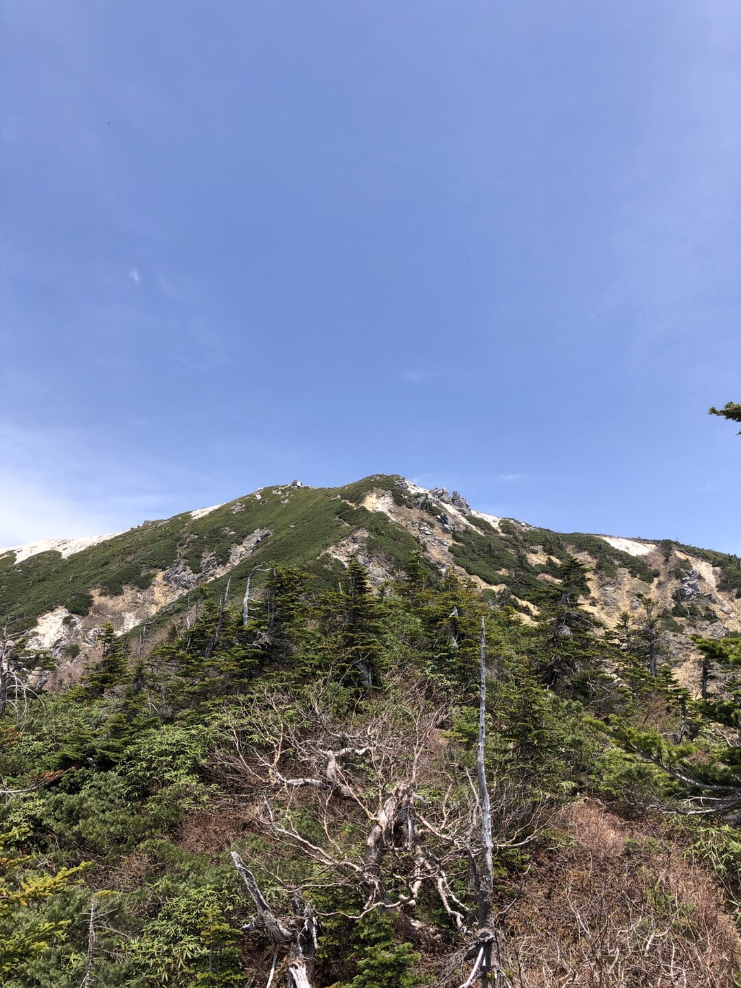 越百山 / aspiさんの木曽駒ヶ岳・空木岳・越百山の活動データ | YAMAP / ヤマップ