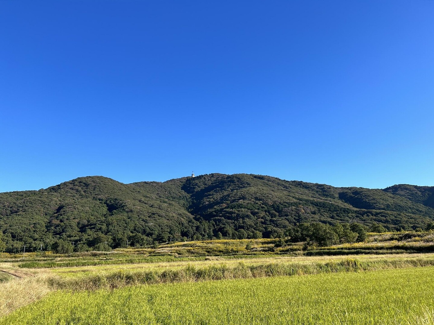 宝篋山・富岡山・尖浅間山 / tottuanさんの宝篋山・富岡山の活動データ | YAMAP / ヤマップ