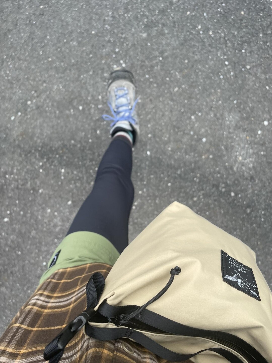 okaraのtomteと一緒にお山へ⛰ ... / SARAさんのモーメント | YAMAP / ヤマップ