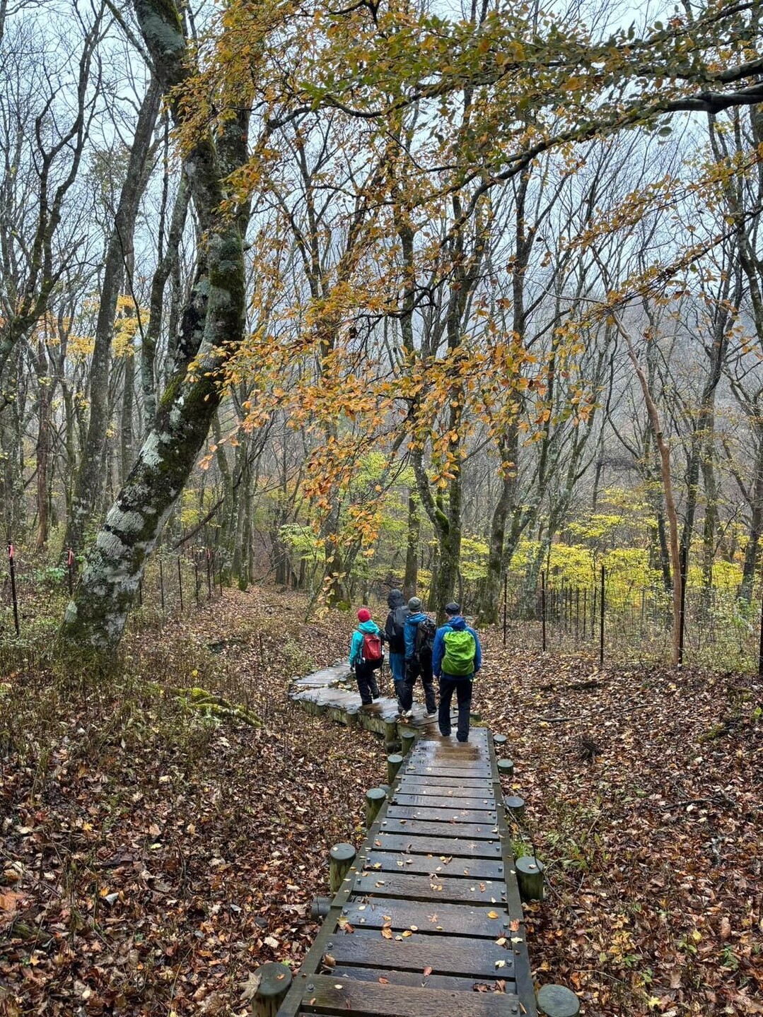 TTT塔ノ岳to高尾 / 栃谷弘美 tochiyaさんの塔ノ岳・丹沢山・蛭ヶ岳の活動データ | YAMAP / ヤマップ