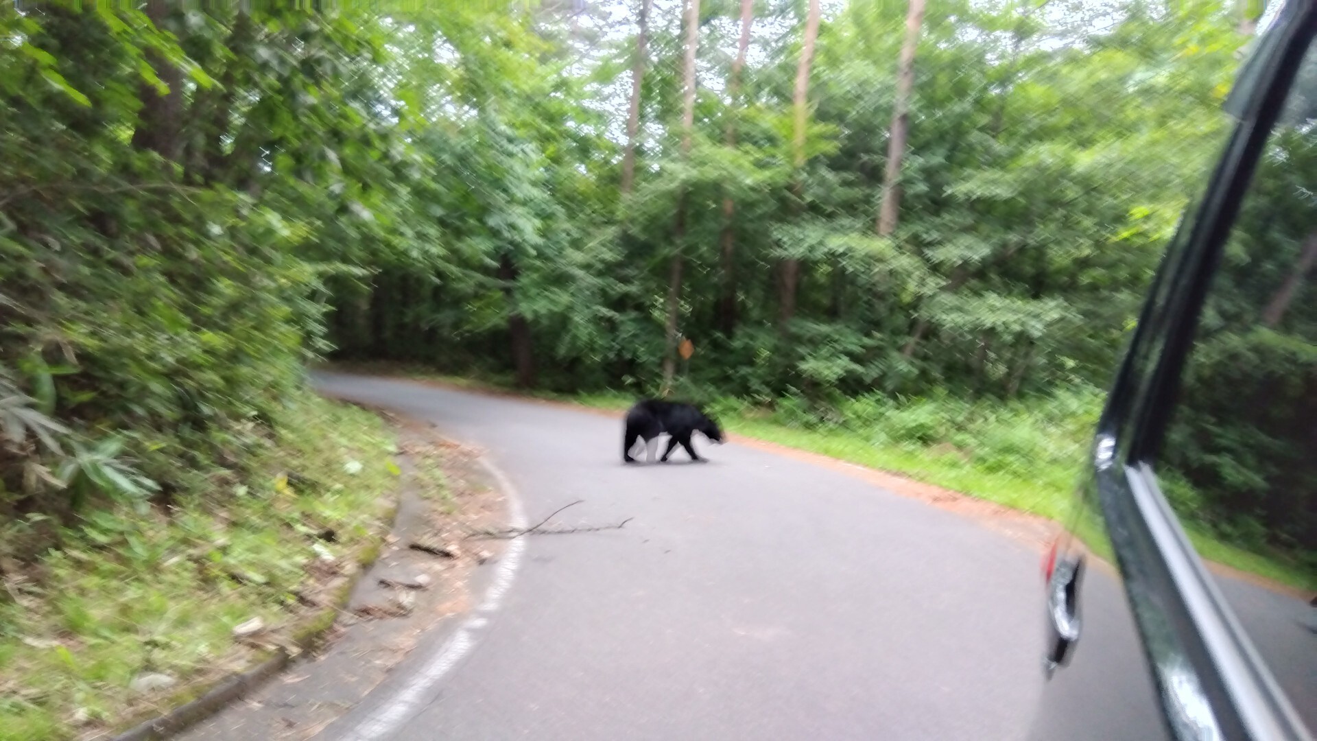 熊と猿 / ta-tsu-yaさんの常念岳・大天井岳・燕岳の活動データ | YAMAP / ヤマップ