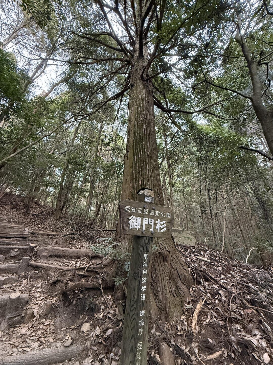 猿投山 / Al exさんの猿投山・物見山の活動データ | YAMAP / ヤマップ