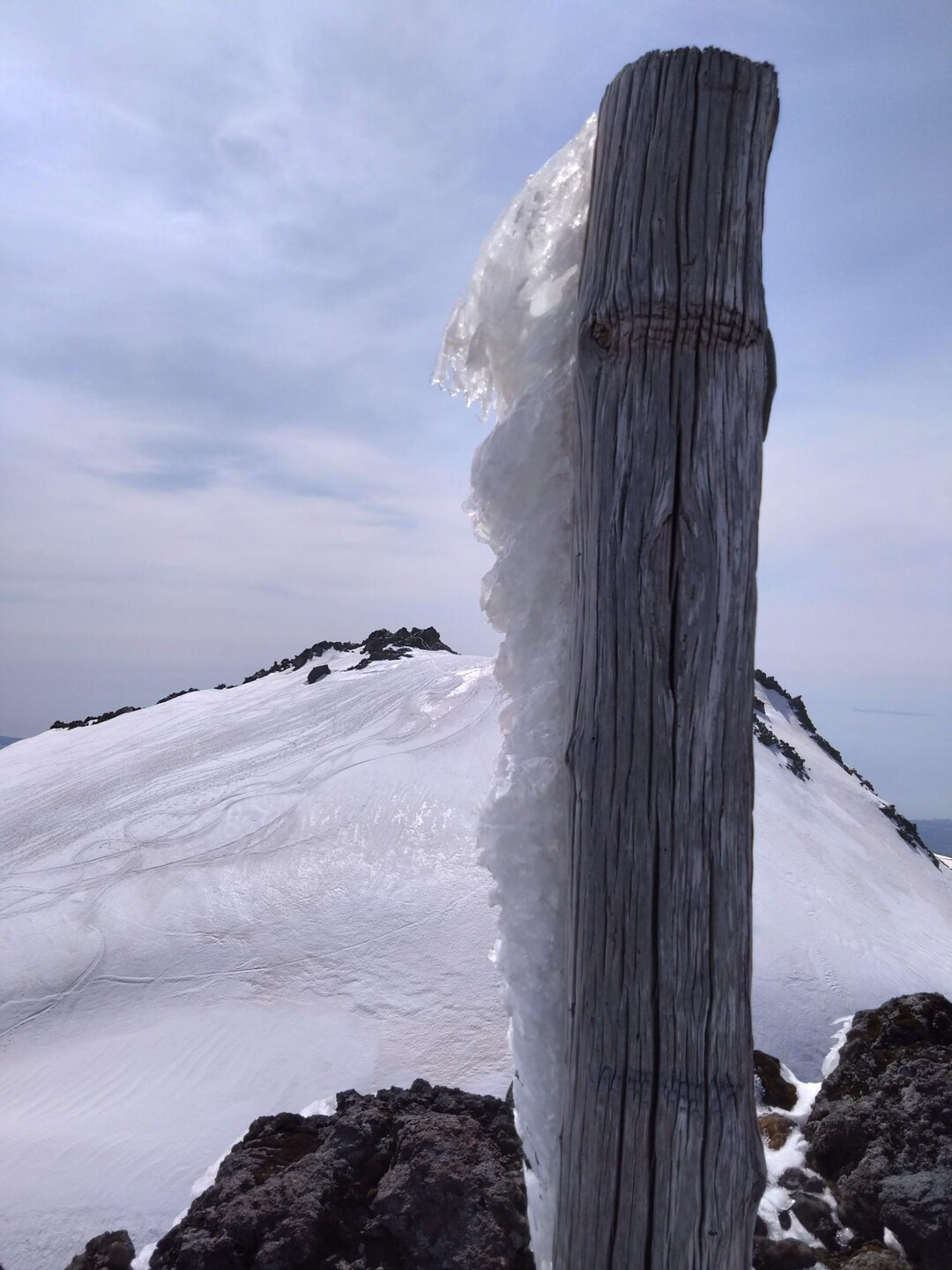 七高山 / ma-mamaさんの鳥海山・七高山・笙ヶ岳の活動データ | YAMAP / ヤマップ