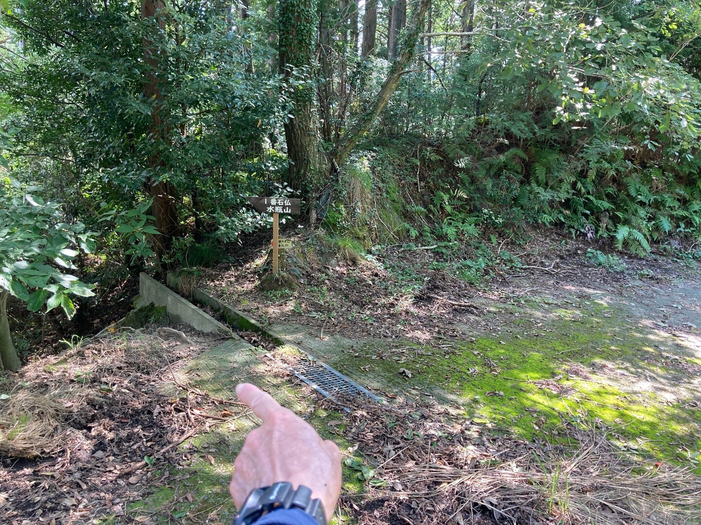 Toshio さんの投稿したフィールドメモ | YAMAP / ヤマップ