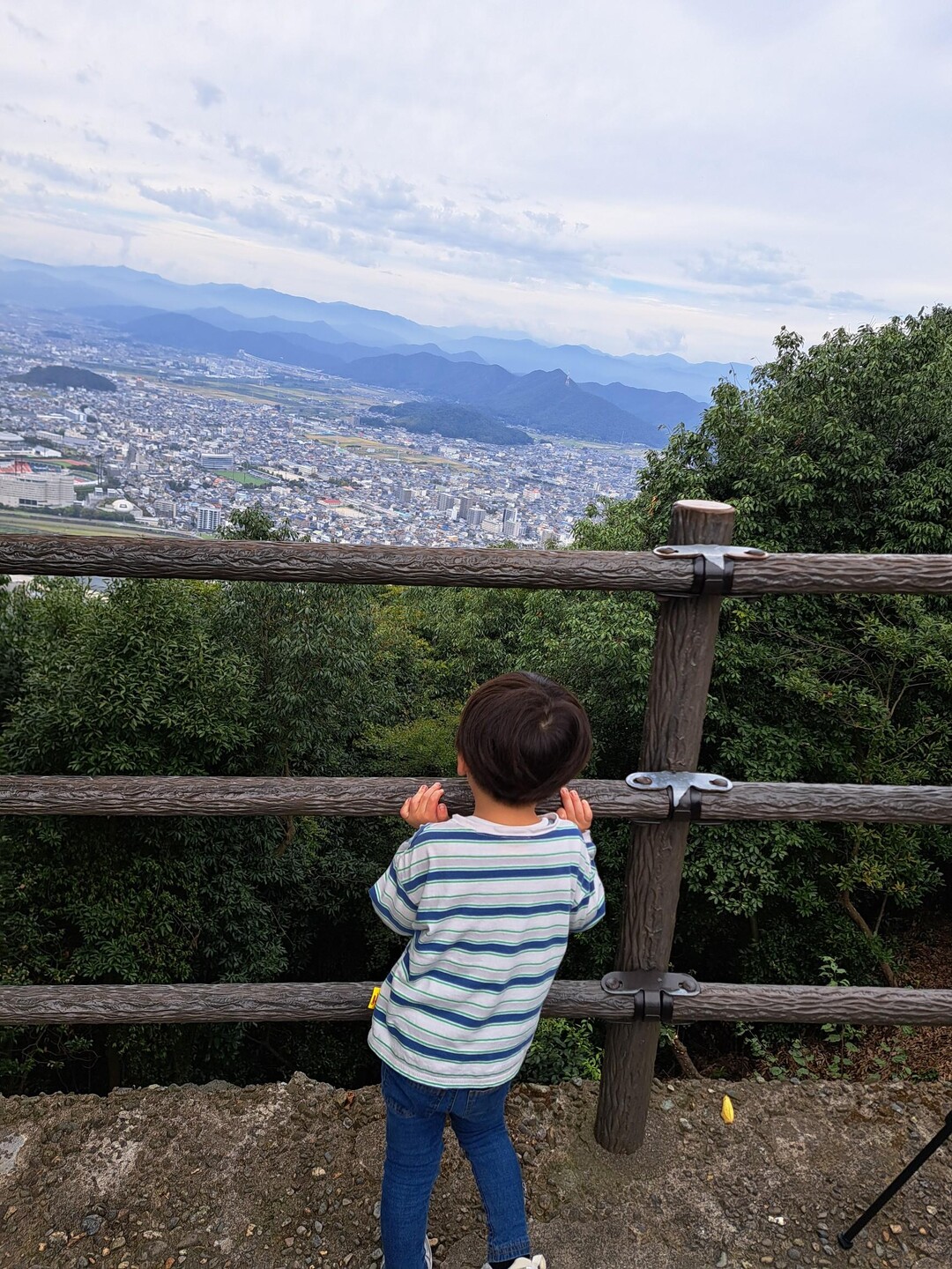 孫と金華山 / Leo.sさんの金華山・洞山・舟伏山の活動データ | YAMAP / ヤマップ