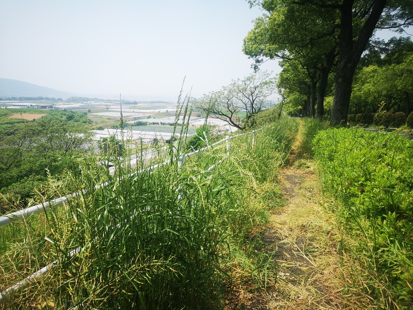 ランと野外昼寝 / RC79さんの益城町の活動データ | YAMAP / ヤマップ