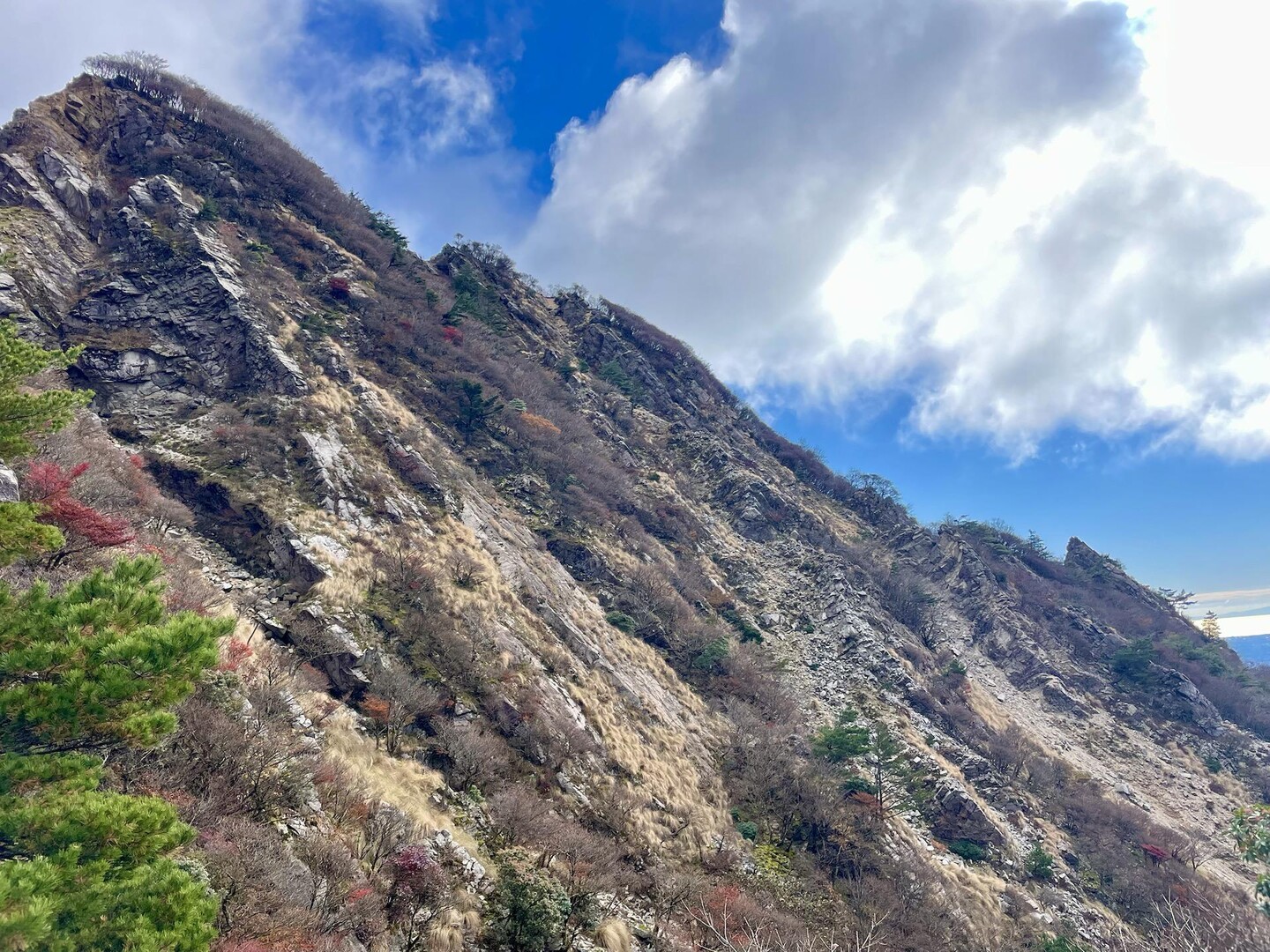 釈迦ヶ岳・猫岳・羽鳥峰 / tymr_phさんの釈迦ヶ岳の活動データ | YAMAP / ヤマップ