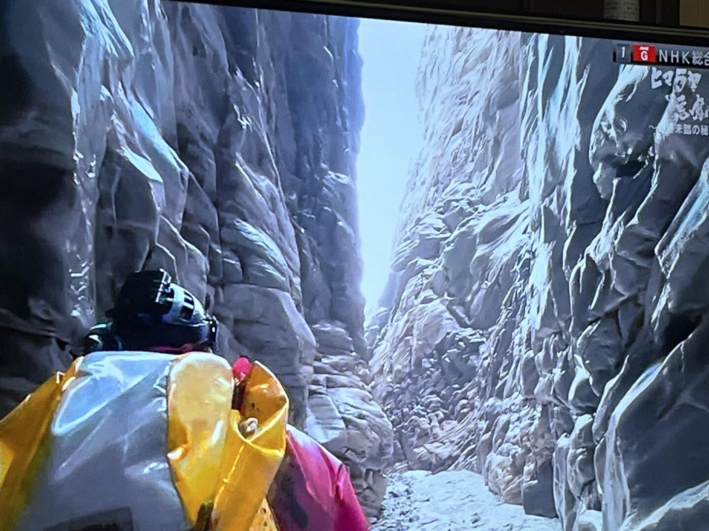 NHKスペシャル BS放映 見入ってます... / Amelia Lautenschlger 🇺🇸 🇯🇵美 蝶🦋蘭🌹さんのモーメント | YAMAP / ヤマップ