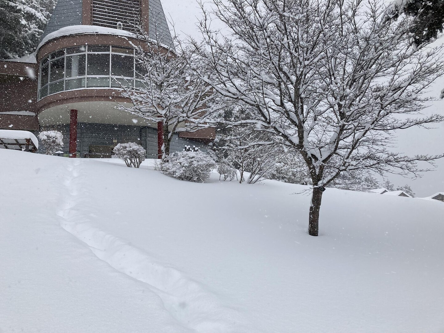 大雪🌨️鷹狩山 山頂付近では、膝上のラ... / HOT☆Uさんのモーメント | YAMAP / ヤマップ