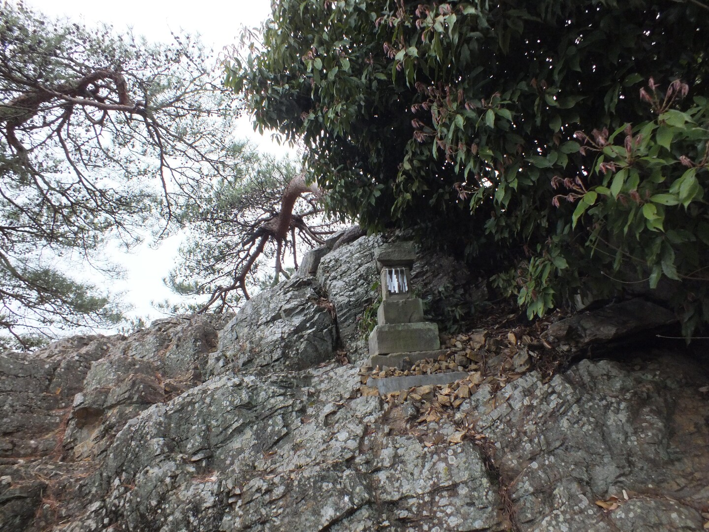 唐沢山 ～猫の社務所～ / blue_39さんの三毳山の活動データ | YAMAP / ヤマップ