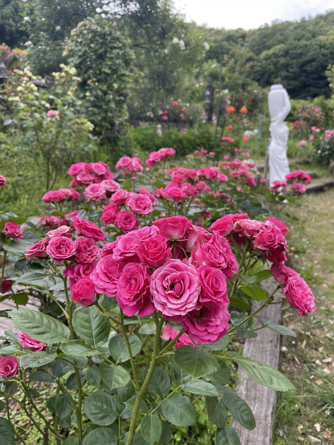 金華山 / hamiさんの金華山・洞山・舟伏山の活動データ | YAMAP / ヤマップ