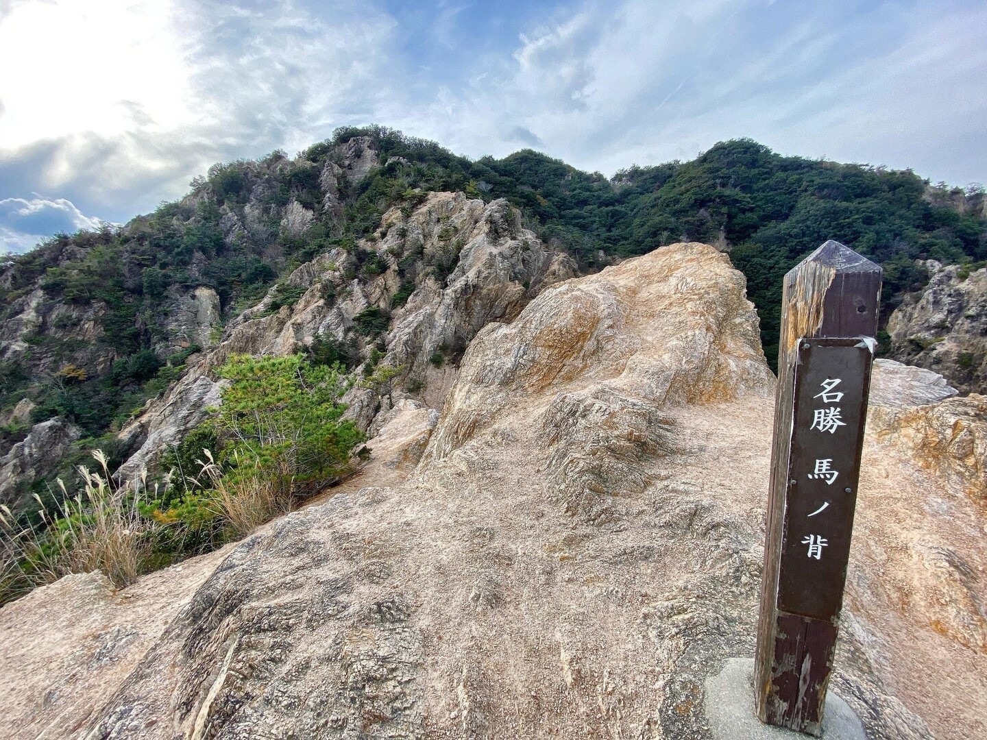 須磨アルプス🚶‍♀️💨須磨浦公園駅～板宿駅縦走🧡からの食べ歩き🐷 / Nmamaさんの六甲山・長峰山・摩耶山の活動データ | YAMAP / ヤマップ