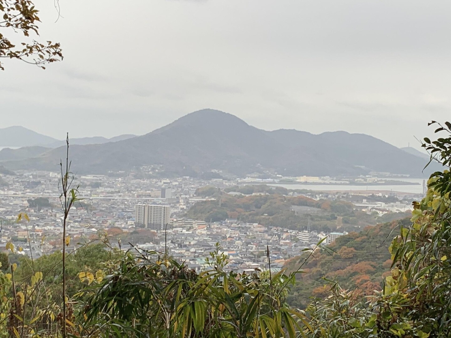 周南③ とおの山 / koma_xさんのとおの山・久米天神山の活動データ | YAMAP / ヤマップ