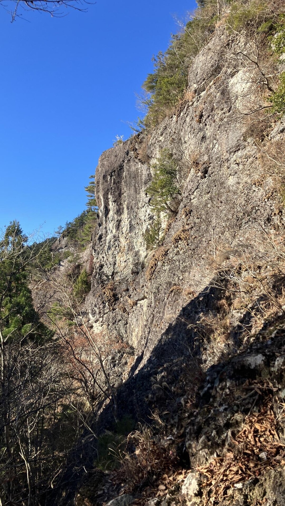 三ツ瀬明神山 (三ツ瀬コース) / 6DMEさんの明神山（三ツ瀬明神山）の活動データ | YAMAP / ヤマップ