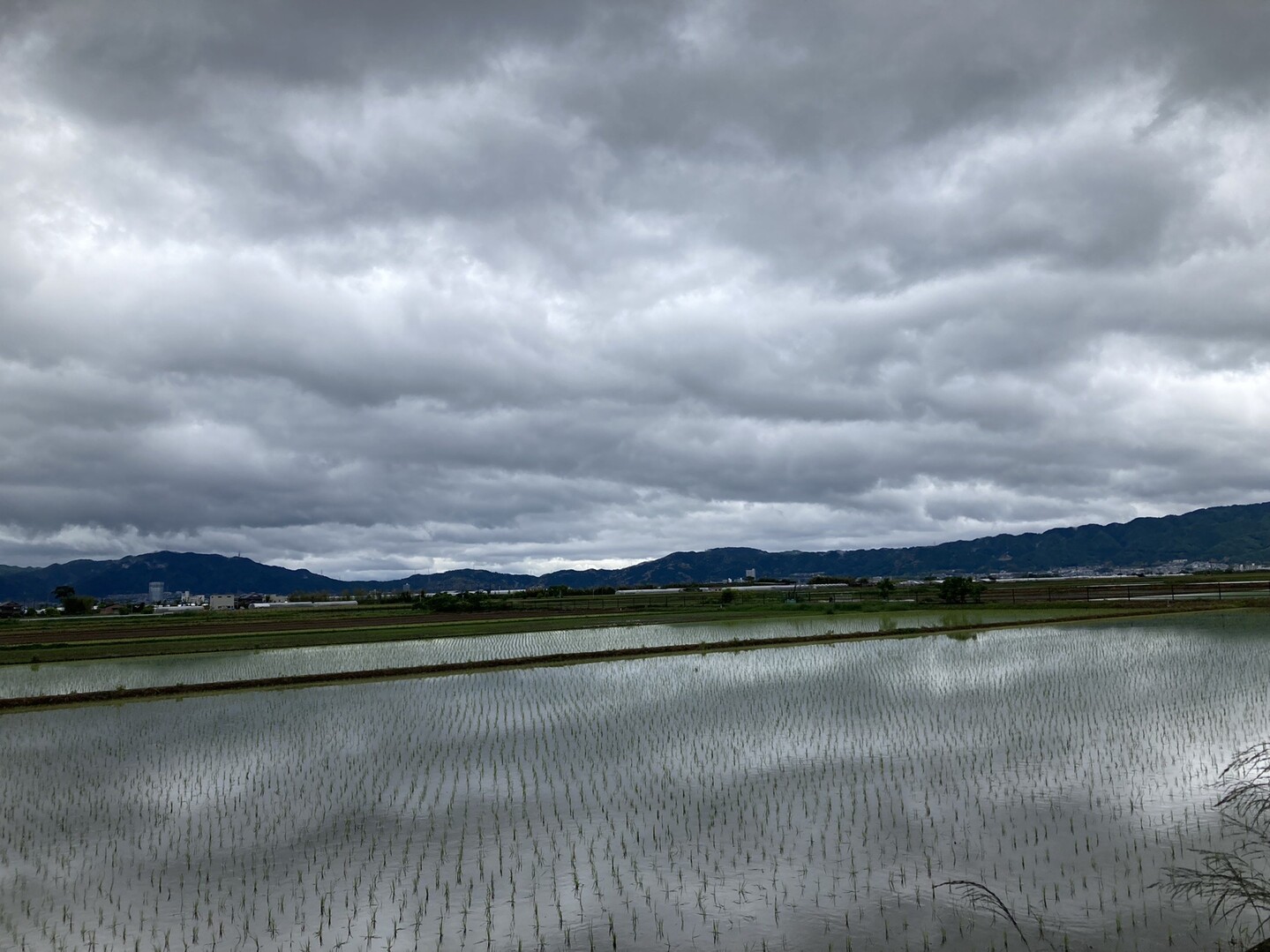 いつも山に囲まれている滋賀県に暮らしてい... / R→zeroさんのモーメント | YAMAP / ヤマップ