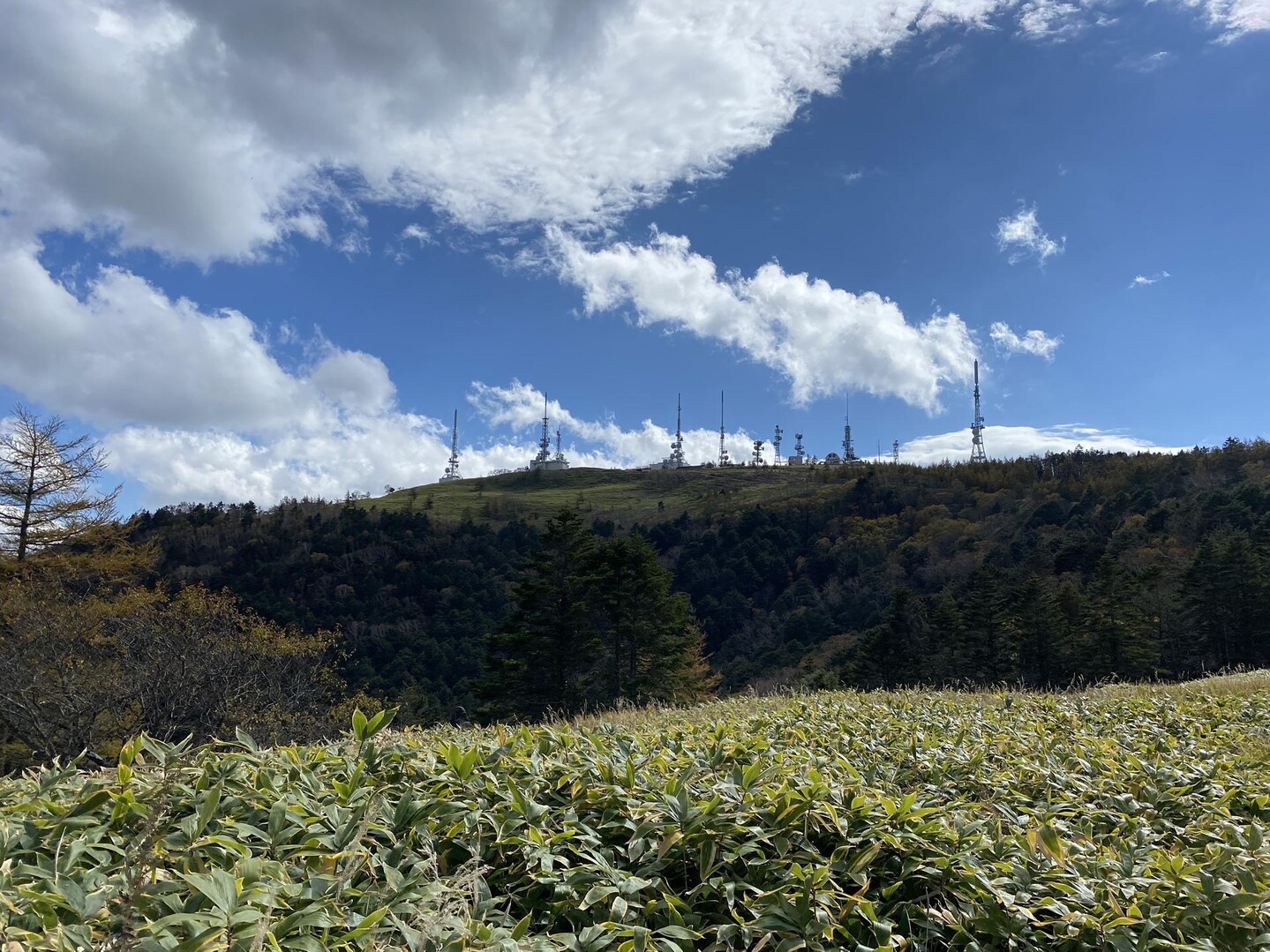 美ヶ原（王ヶ頭） / amiさんの美ヶ原の活動データ | YAMAP / ヤマップ