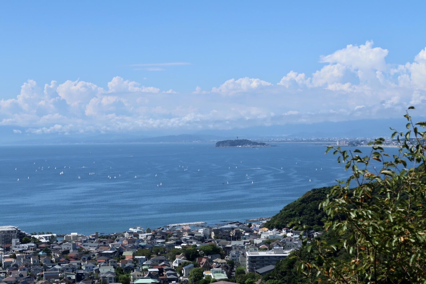 本を借りに山越えて📖 ソッカ・仙元山・大峰山 / heeさんの三浦アルプス・二子山・仙元山の活動データ | YAMAP / ヤマップ