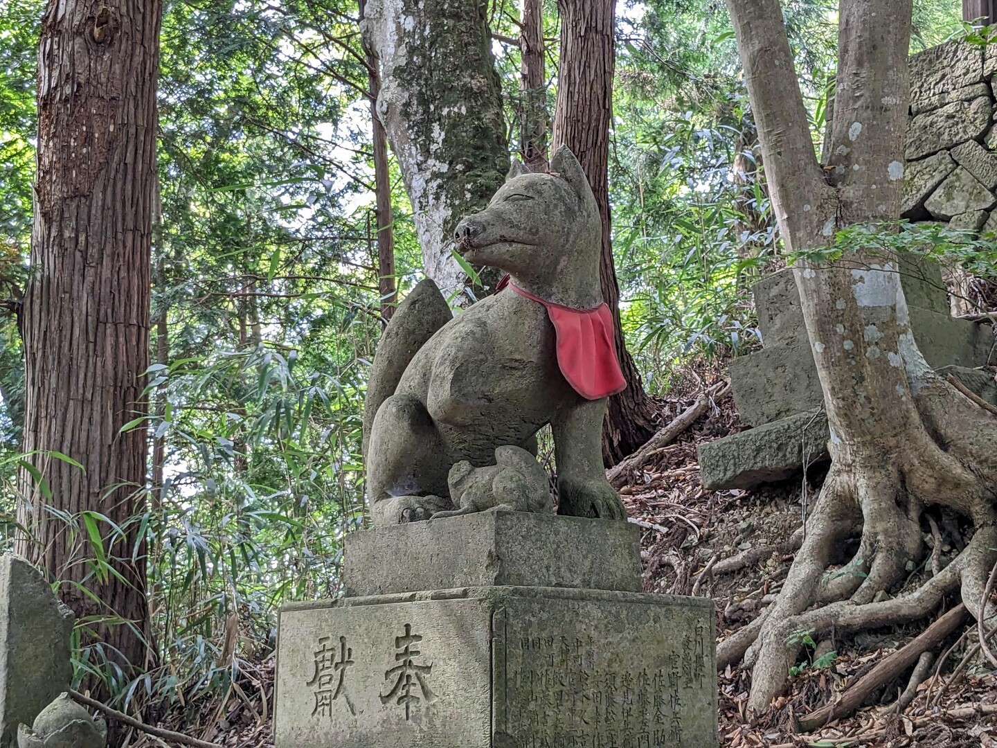 烏峠稲荷神社へ。紅葉の時期が楽しみ。 / noraさんの烏峠の活動日記 | YAMAP / ヤマップ