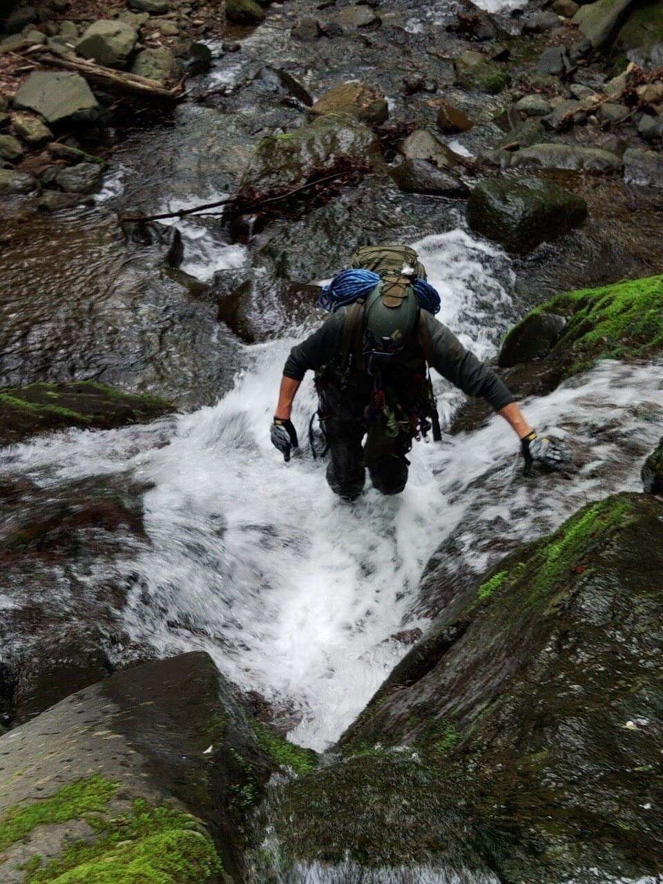 【鳥屋待沢 右俣】週末はヒル献血 / T.Haradaさんの大山の活動データ | YAMAP / ヤマップ