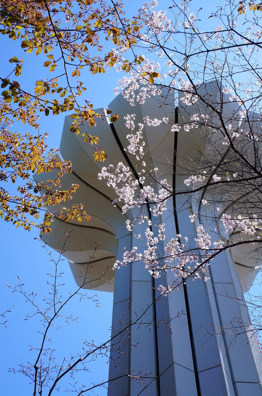達布山 / ゆっち🍡🍭さんの美唄市の活動データ | YAMAP / ヤマップ