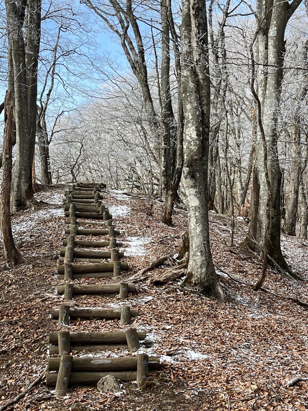 ん？ / tenpiさんの荒船山・物語山・大屋山の活動データ | YAMAP / ヤマップ