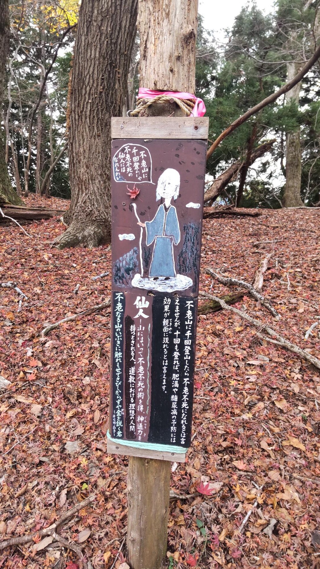 明神峠〜不老山〜駿河小山駅 / 441Mさんの三国山の活動データ | YAMAP / ヤマップ