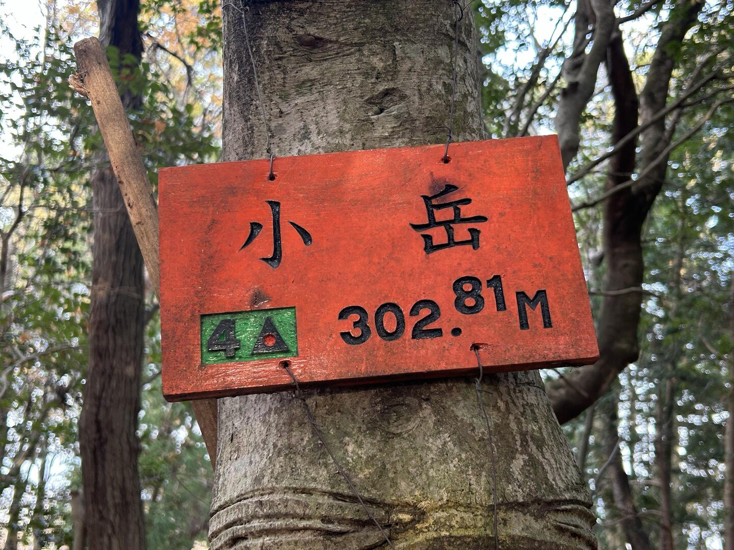 【鈴鹿300山】小岳 / モミジさんの綿向山の活動データ | YAMAP / ヤマップ