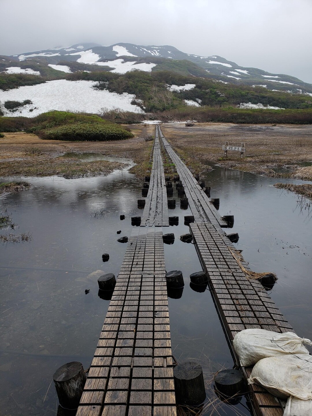鳥海山・水芭蕉がきれい / iSleepさんの鳥海山・七高山・笙ヶ岳の活動データ | YAMAP / ヤマップ