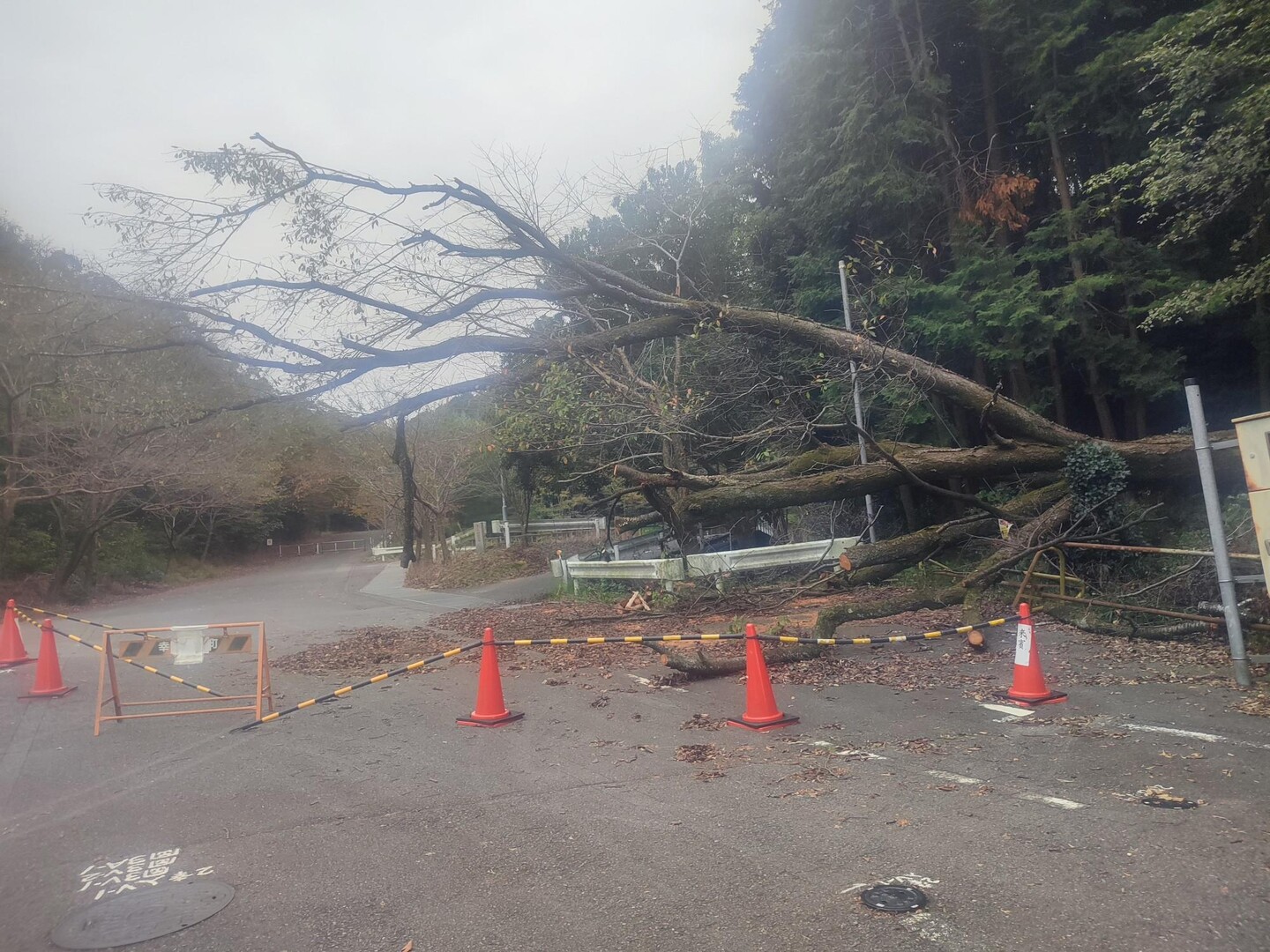 京ヶ峯2km + Jog9km / つっちいさんの京ヶ峯の活動データ | YAMAP / ヤマップ