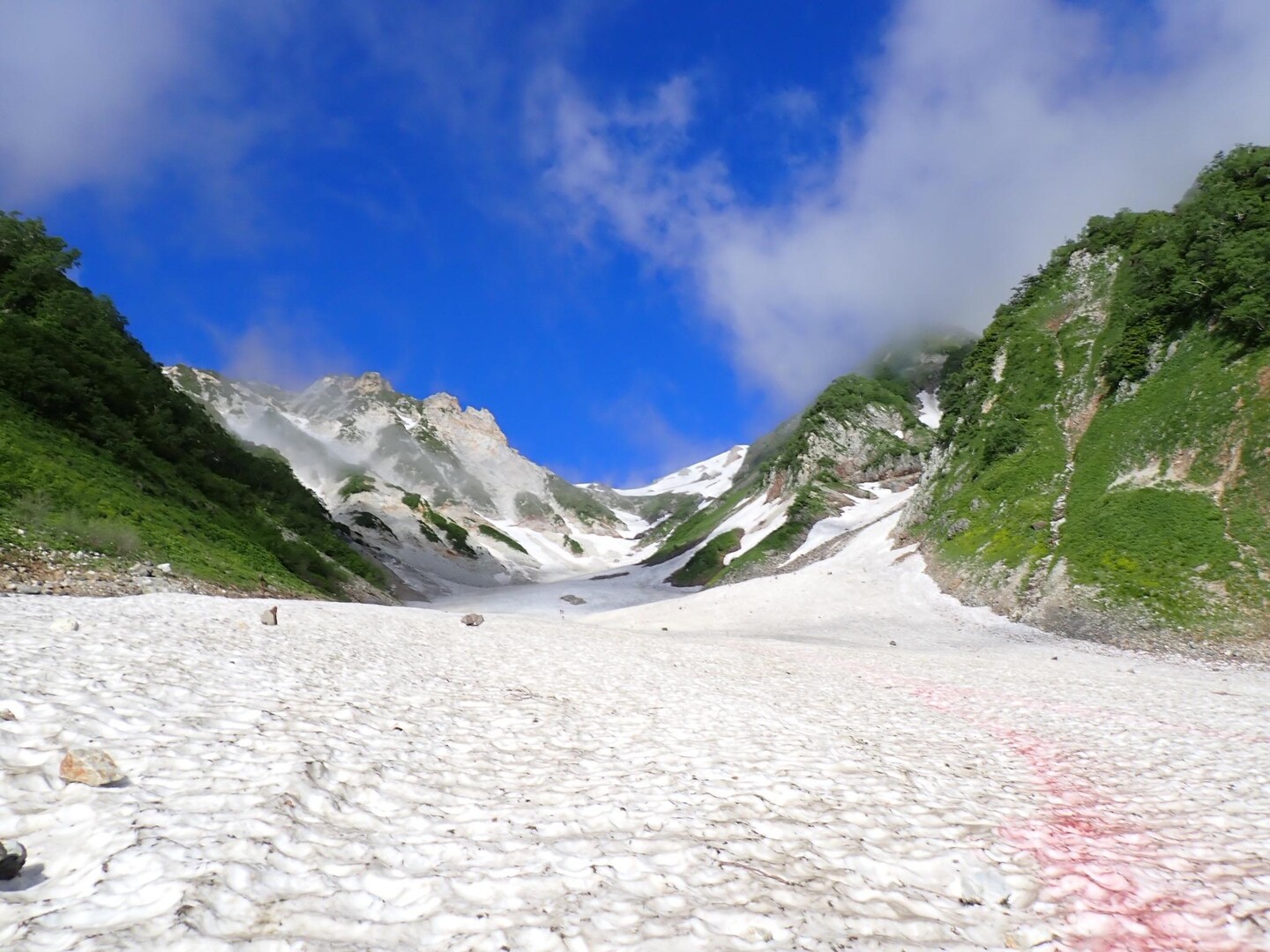 白馬岳 / BMさんの白馬岳・小蓮華山の活動日記 | YAMAP / ヤマップ
