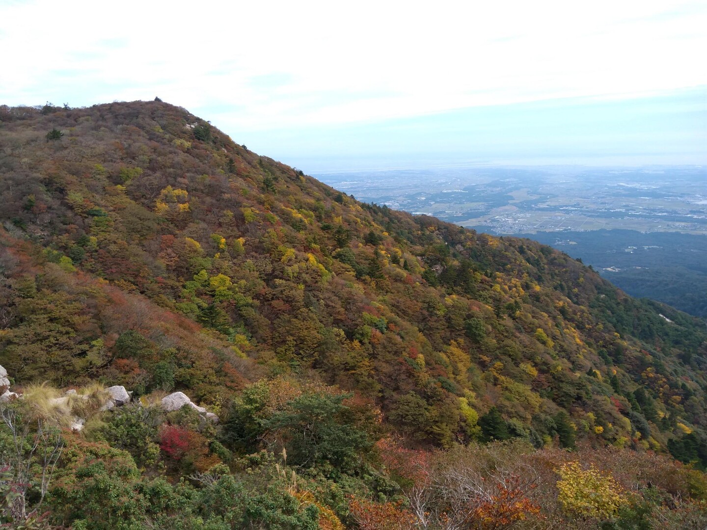 鈴鹿山脈の三池岳に初めて登りました。 / reiさんの登山の活動データ | YAMAP / ヤマップ