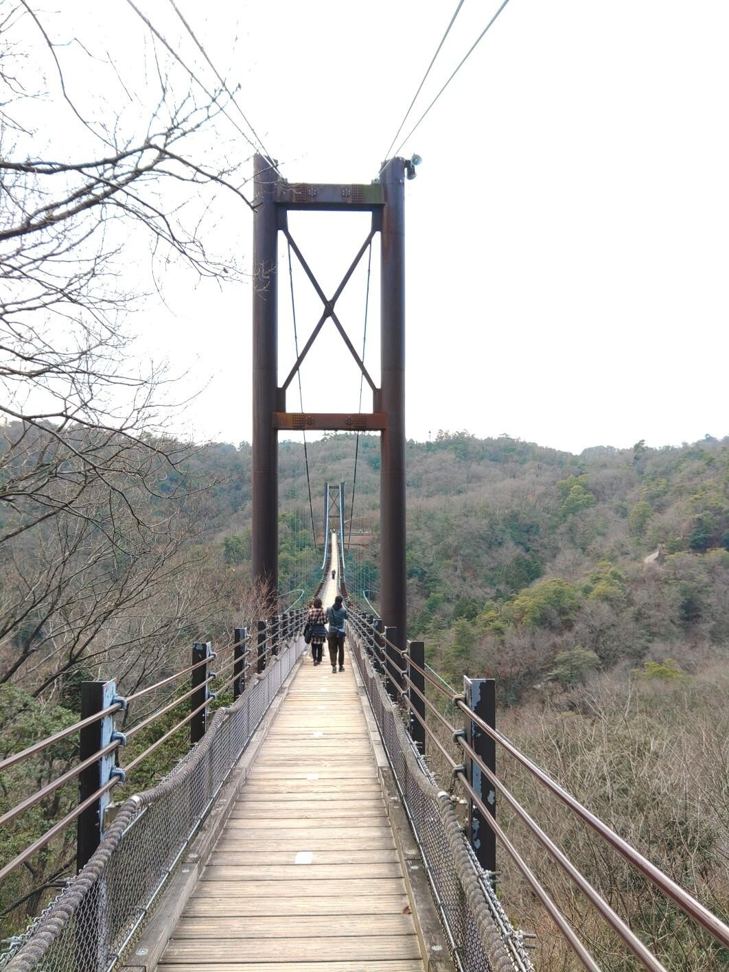 "星のブランコ"初・渡りと 生駒山系茶屋・カフェ探訪① / salmaさんの交野山・国見山の活動データ | YAMAP / ヤマップ