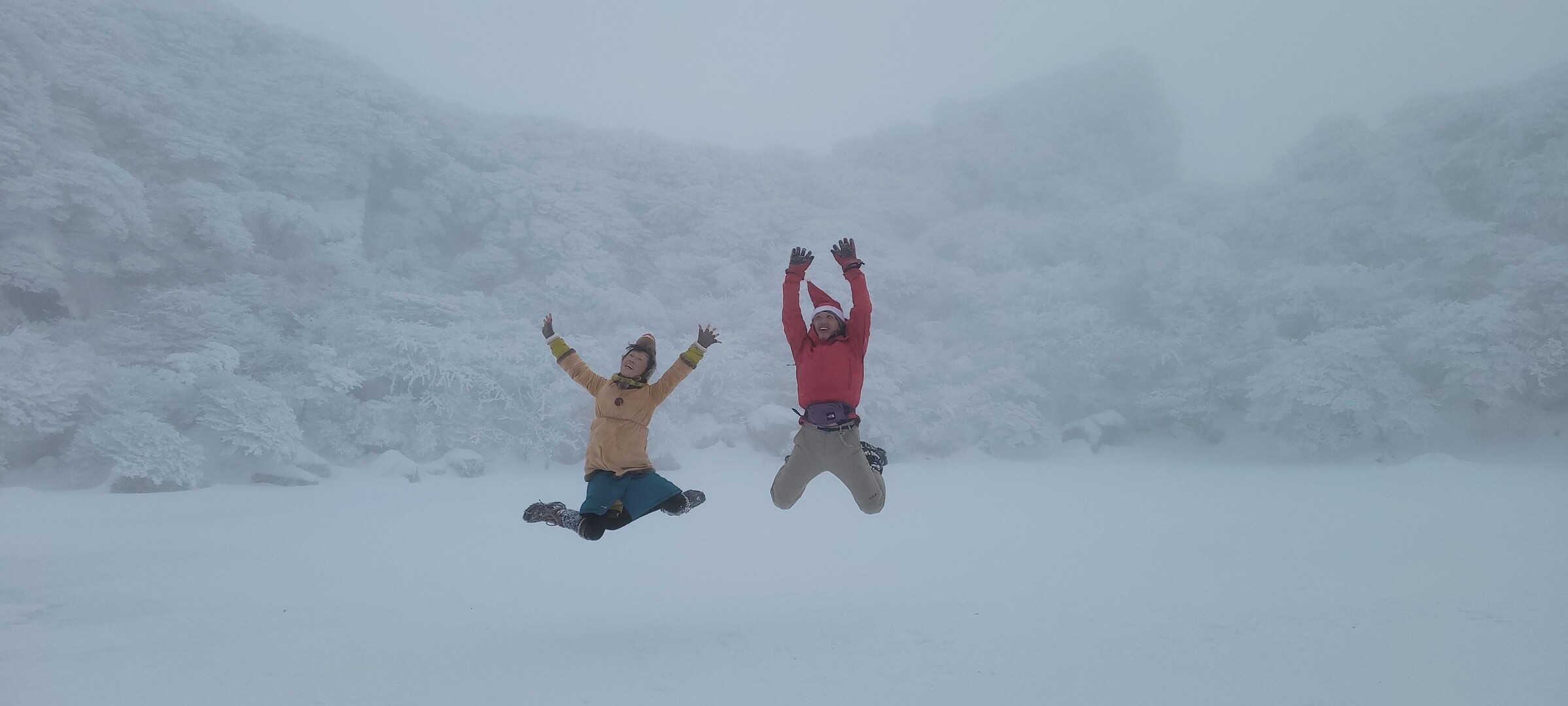 X'MAS in 大船山 / こえちゃさんの九重山（久住山）・大船山・星生山の活動データ | YAMAP / ヤマップ