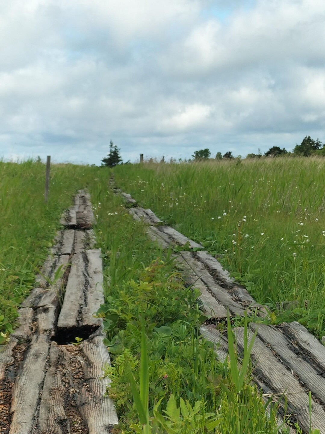栗駒山(須川岳) / kenkenさんの栗駒山（須川岳）・秣岳・虚空蔵山の活動データ | YAMAP / ヤマップ