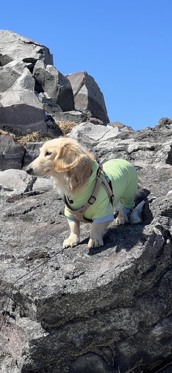 latteのページ | YAMAP / ヤマップ