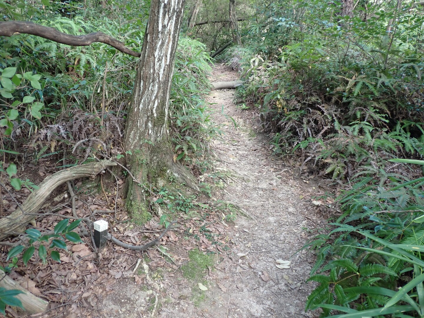 kazz309さんの投稿したフィールドメモ | YAMAP / ヤマップ