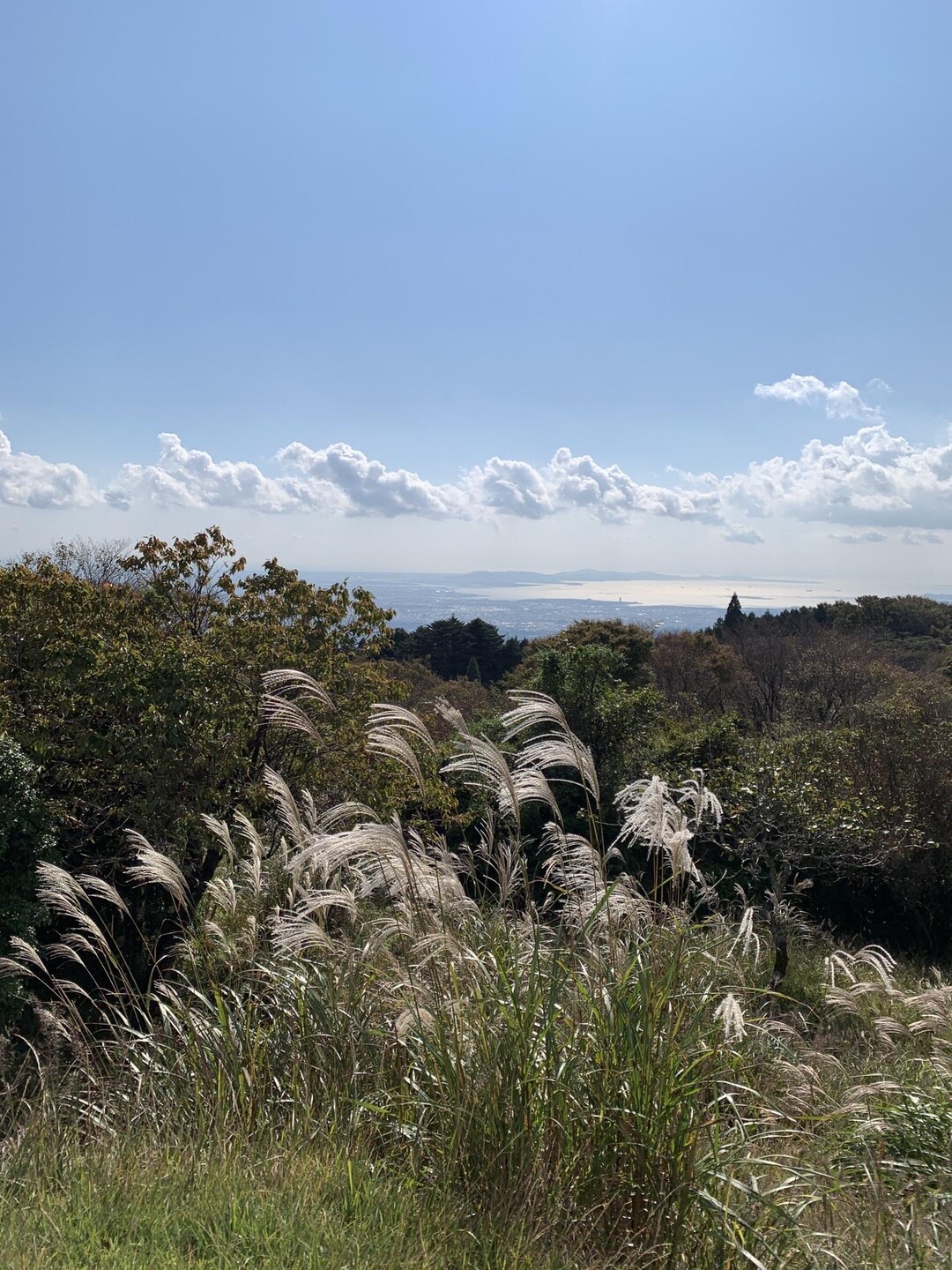 サクッとHRK本宮山⛰️ / ワイン好きさんの本宮山・大日山・風頭山の活動データ | YAMAP / ヤマップ