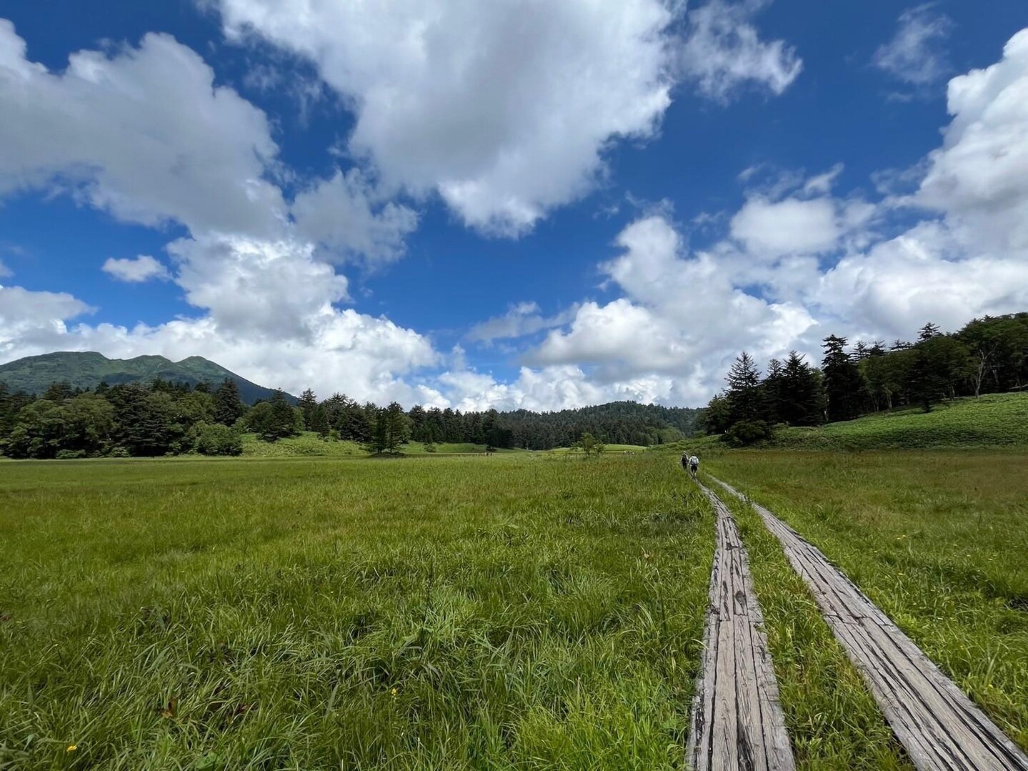 尾瀬（燧ヶ岳・至仏山） / ちぇみんさんの尾瀬・燧ヶ岳の活動データ | YAMAP / ヤマップ