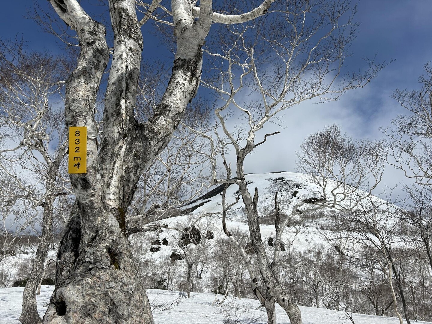 ニセコでSKI⛷️ 832m峰・チセヌプリ / まさとさんのニセコアンヌプリ・イワオヌプリ・チセヌプリの活動データ | YAMAP / ヤマップ