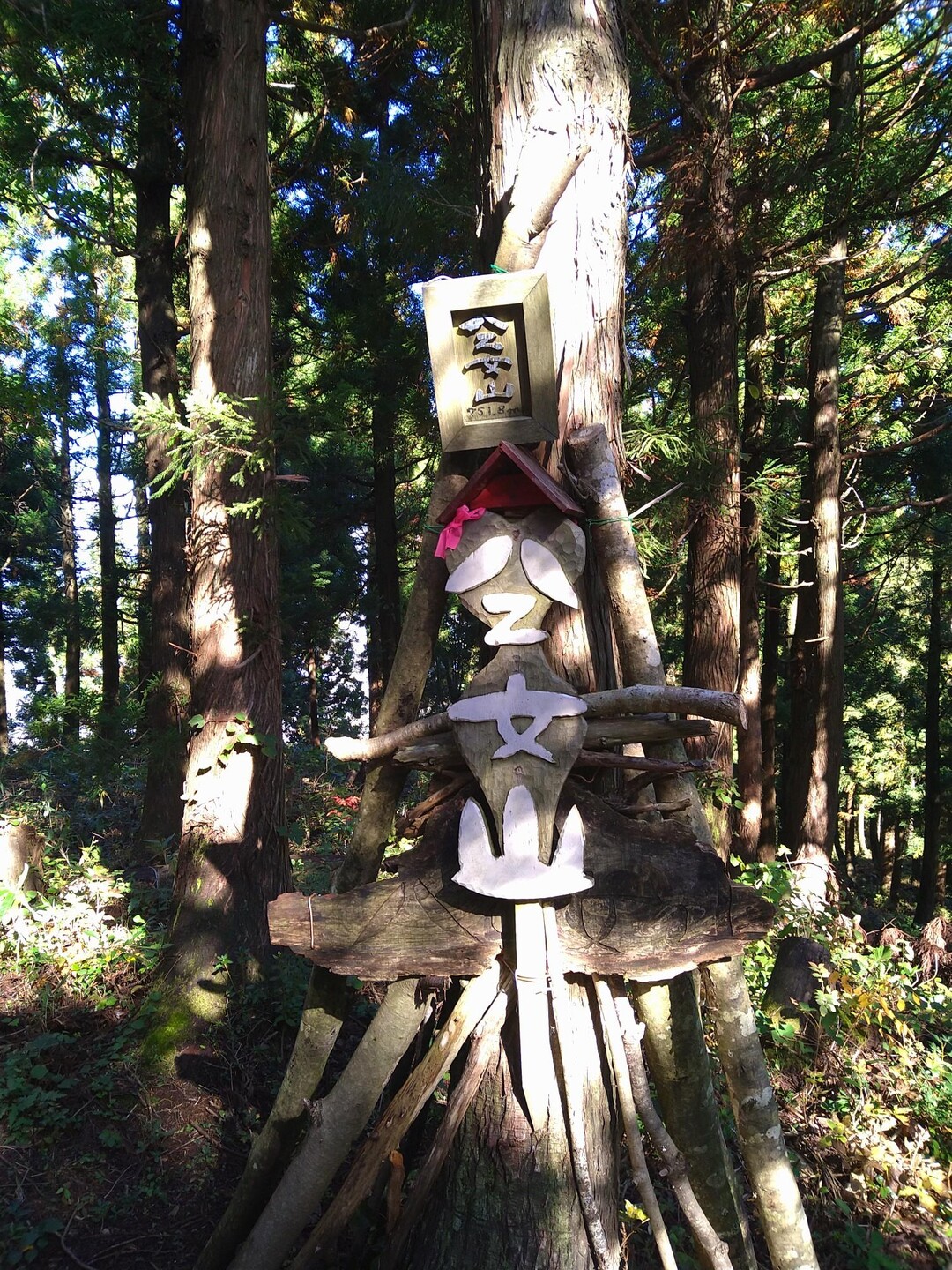 八乙女山・前八乙女山 / koniさんの牛岳の活動データ | YAMAP / ヤマップ