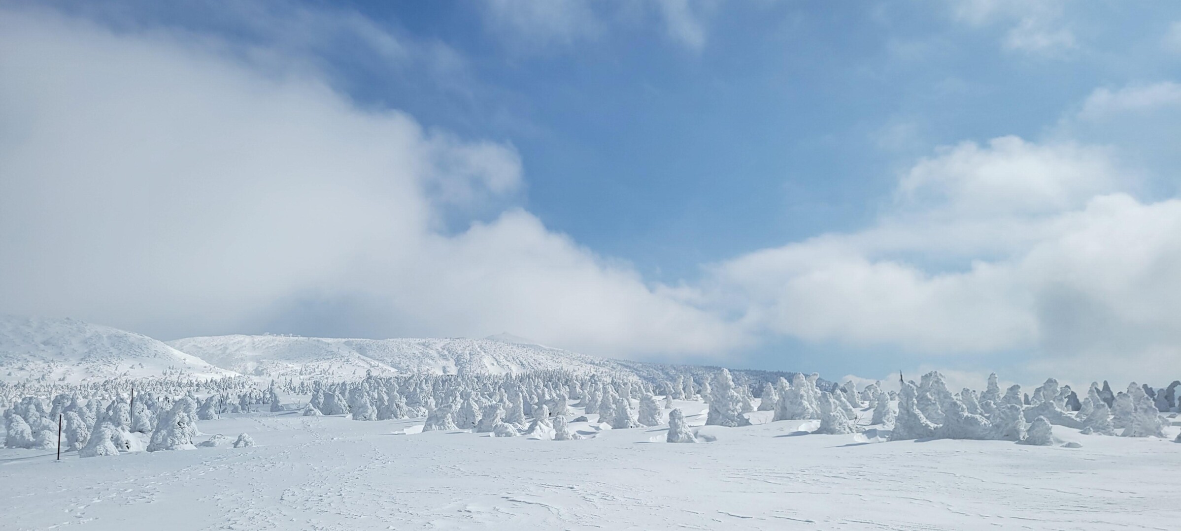 蔵王BC🏂️🏂️ / ikumiさんの蔵王山・雁戸山・不忘山の活動データ | YAMAP / ヤマップ